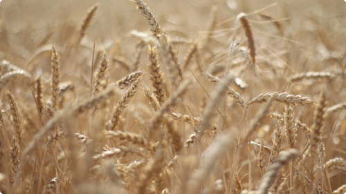 Type 2 Outdoor Magazine | U.S. Chemical Storage